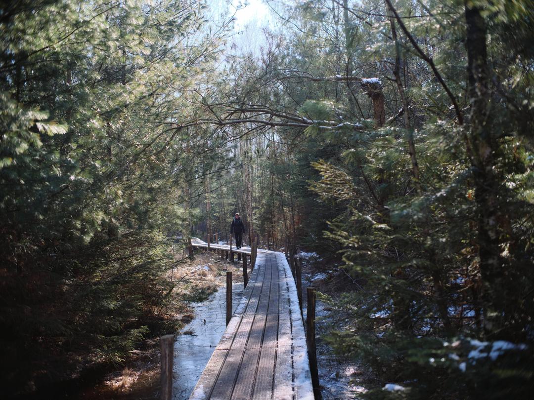 Qbuzz - Alles voor reizigers